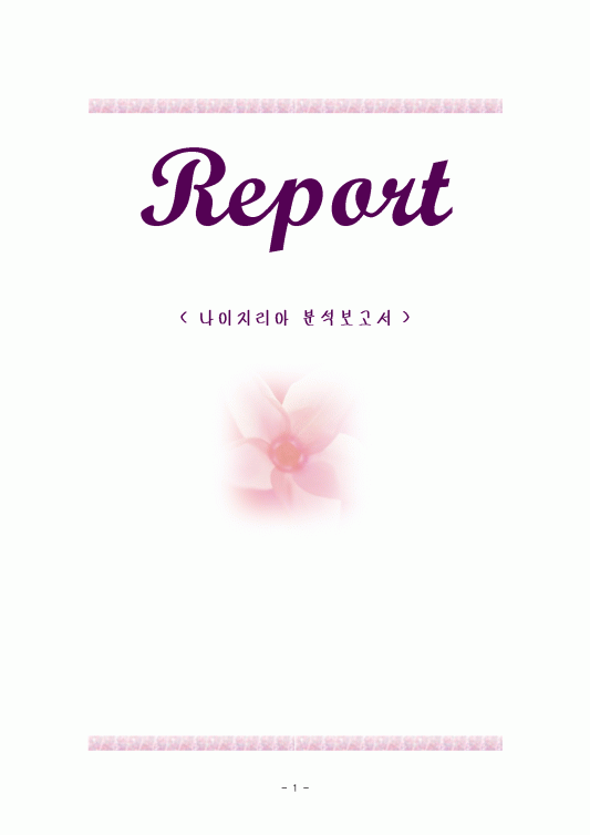 [비교발전행정론] 나이지리아 분석보고서 [국가 개요 경제 지표 정치 사회 동향 경제 전망]