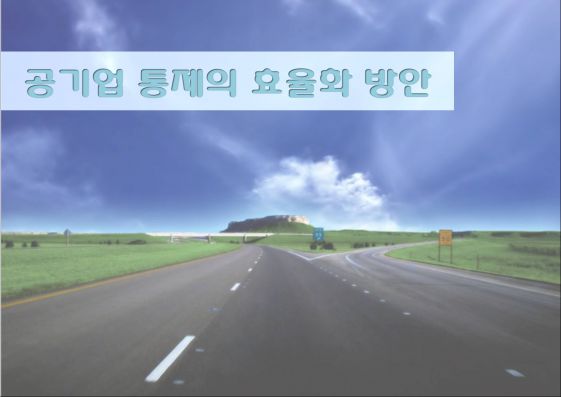 공기업 통제의 효율화 방안