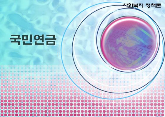 사회복지 정책론 - 국민연금