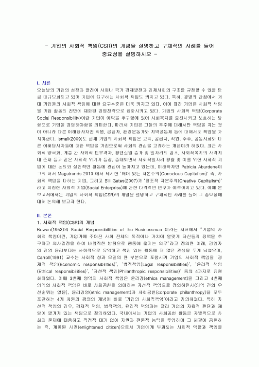 기업의 사회적 책임(CSR)의 개념을 설명하고 구체적인 사례를 들어 중요성을 설명하시오