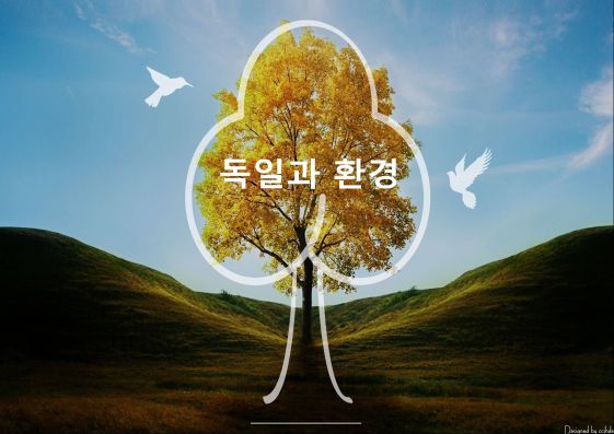 환경국가 독일환경교육 독일환경정책거시적인 환경정책Freiburg 에너지 자립태양광 발전원자력 에너지