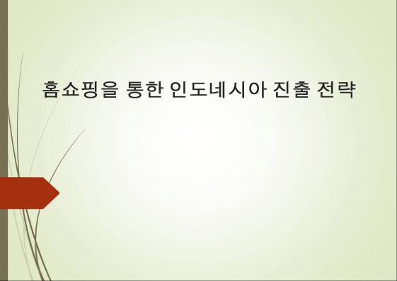 홈쇼핑을 통한 인도네시아 진출 전략