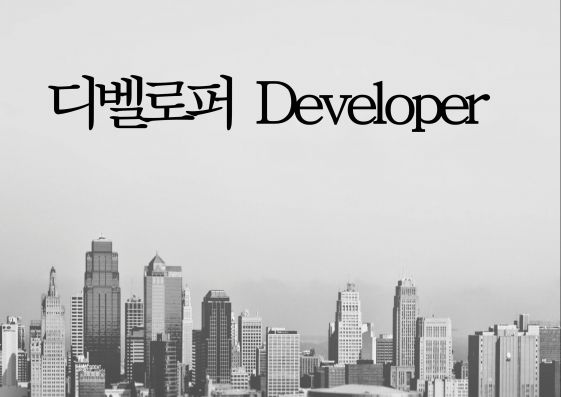 디벨로퍼 Developer