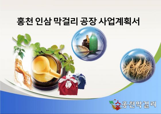 홍천 인삼 막걸리 공장 사업계획서