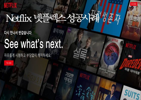 넷플렉스 성공사례