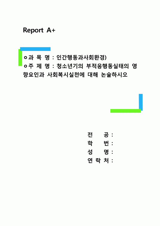 인간행동과사회환경)청소년기의 부적응행동실태의 영향요인과 사회복시실천에 대해 논술하시오