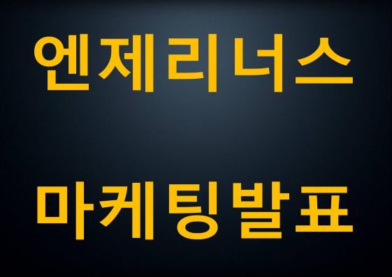 엔제리너스 성공요인과 서비스분석및 엔제리너스 마케팅 SWOTSTP7P전략분석및 엔제리너스 향후나아갈 방향제시 PPT