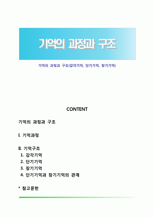 기억의 과정과 구조(감각기억 단기기억 장기기억)