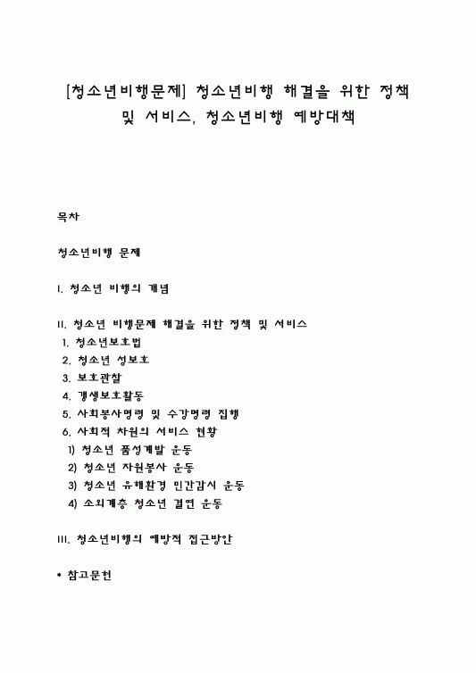 [청소년비행문제] 청소년비행 해결을 위한 정책 및 서비스 청소년비행 예방대책