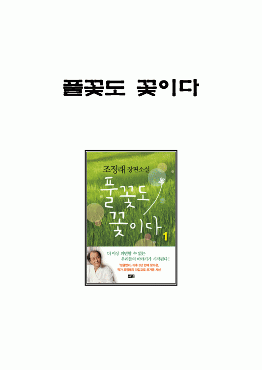 풀꽃도 꽃이다 조정래 독후감 감상문 후기 서평 요약 줄거리 레포트