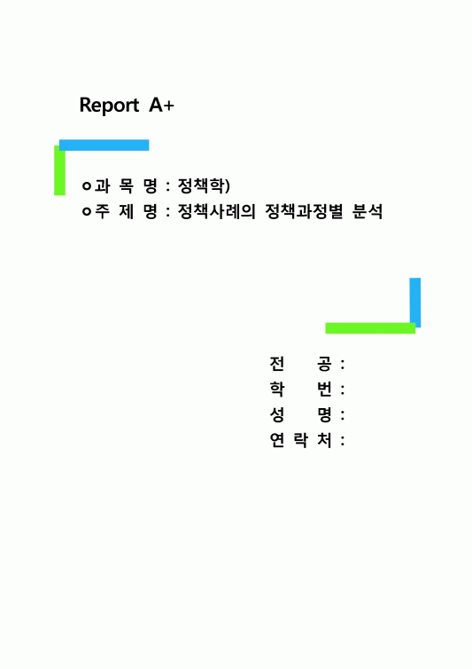 정책학 ) 정책사례의 정책과정별 분석