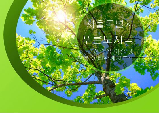 서울특별시서울역 고가도로개발제한구역의 해제어린이대공원 운영문제서울 도시 마케팅도시 브랜드 서울