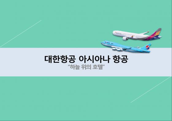 대한항공아시아나 항공항공시장분석대한항공 아시아나항공 마케팅사례대한항공 아시아나항공의 문제점세계항공산업분석국가별 항공운송 변화