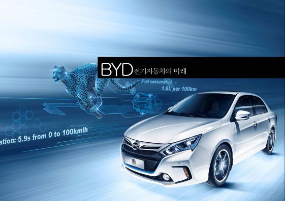 전기자동차 미래전기자동차 중국시장전기자동차 브랜드마케팅전기자동차 서비스마케팅전기자동차 글로벌경영사례분석