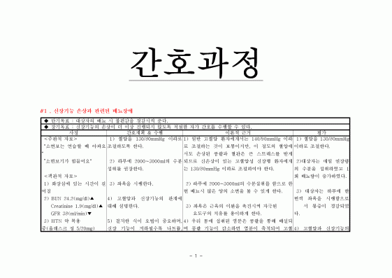 31 성인; 간호과정모음