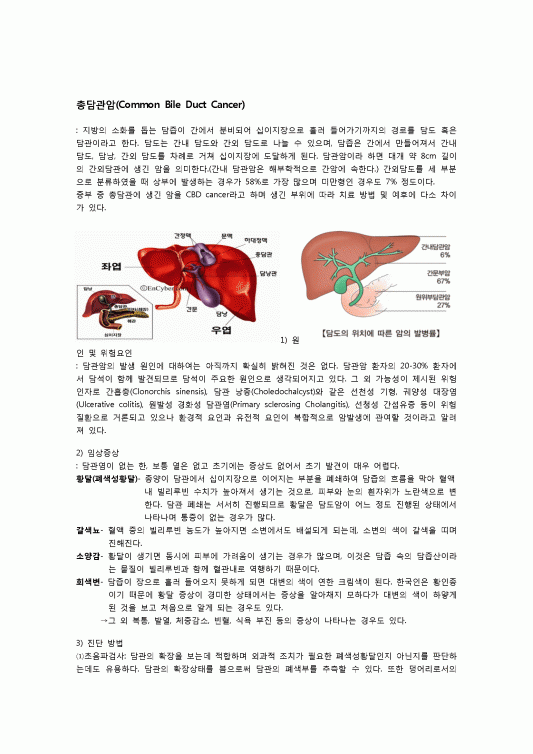 총담관암 질환보고서
