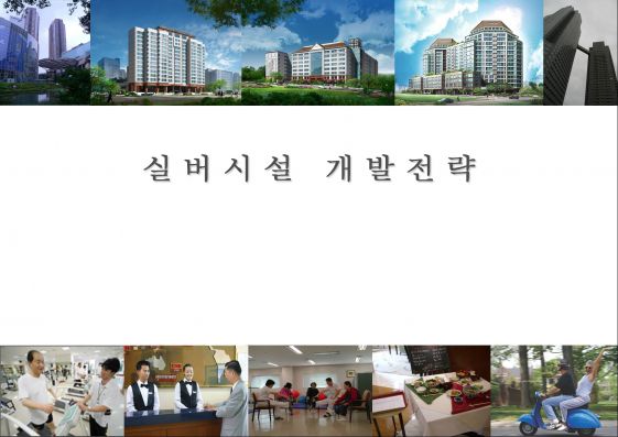 실버시설 개발전략