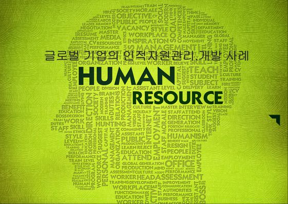 글로벌 기업의 인적자원관리개발 사례