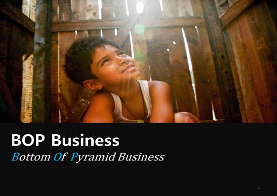 Bottom of Pyramid Business