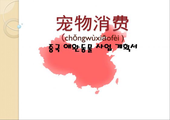 중국 애완동물 사업 계획서