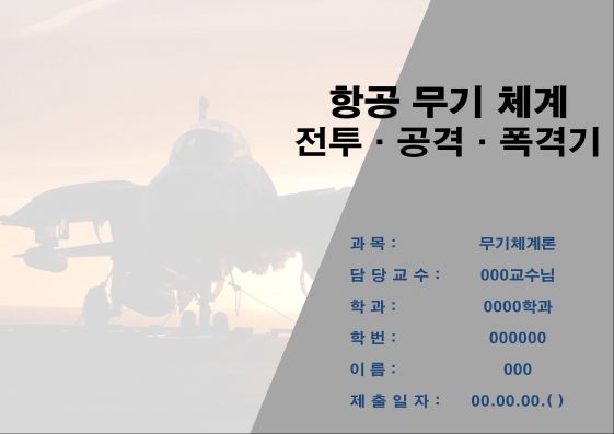 항공무기체계