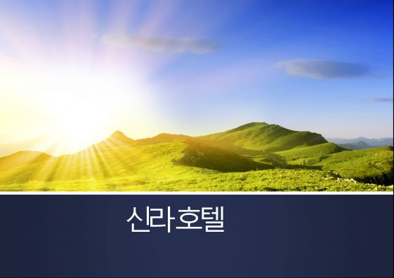 호텔서비스의 정의서울 신라호텔 마케팅제주 신라호텔신라호텔의 서비스신라호텔의 SWOT리츠칼튼 호텔의 SWOT