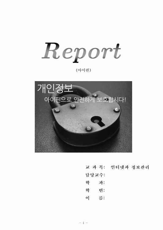 아이핀 레포트 자료