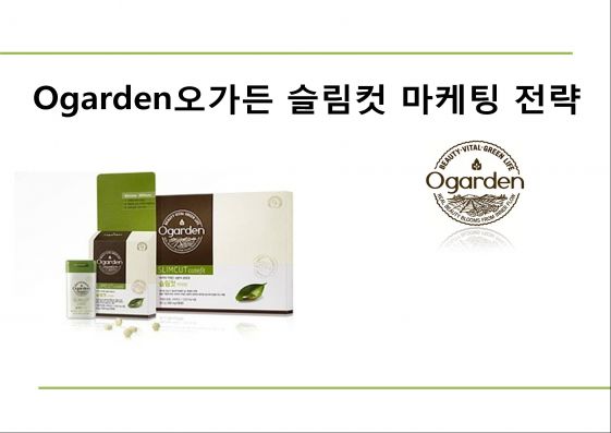 [비즈니스/경제] Ogarden 오가든 슬림컷 마케팅 전략