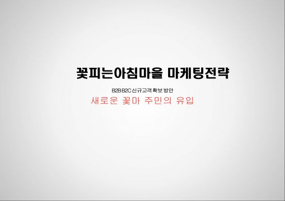 꽃피는아침마을 마케팅전략