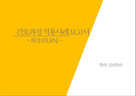 화상 문헌고찰 간호과정 적용사례 보고서 치료적의사소통 PPT