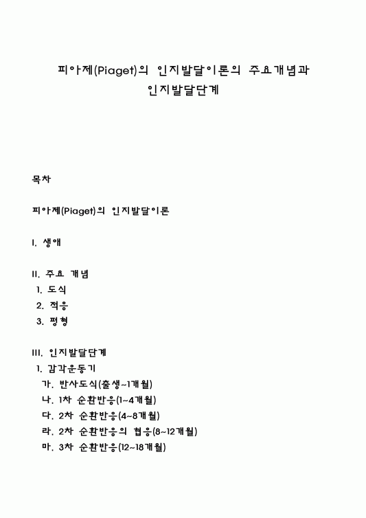 피아제(Piaget)의 인지발달이론의 주요개념과 인지발달단계