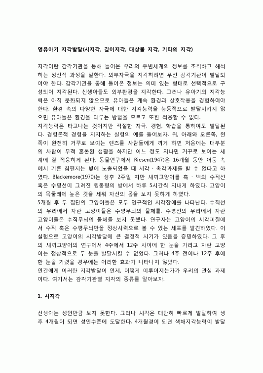 영유아기 지각발달(시지각 깊이지각 대상물 지각 기타의 지각)