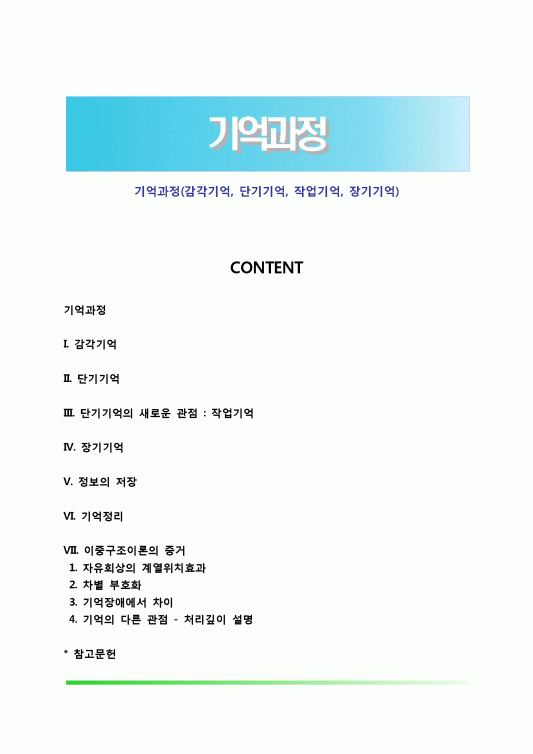 기억과정(감각기억 단기기억 작업기억 장기기억)