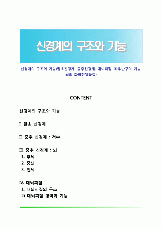 신경계의 구조와 기능(말초신경계 중추신경계 대뇌피질 좌우반구의 기능 뇌의 화학전달물질)