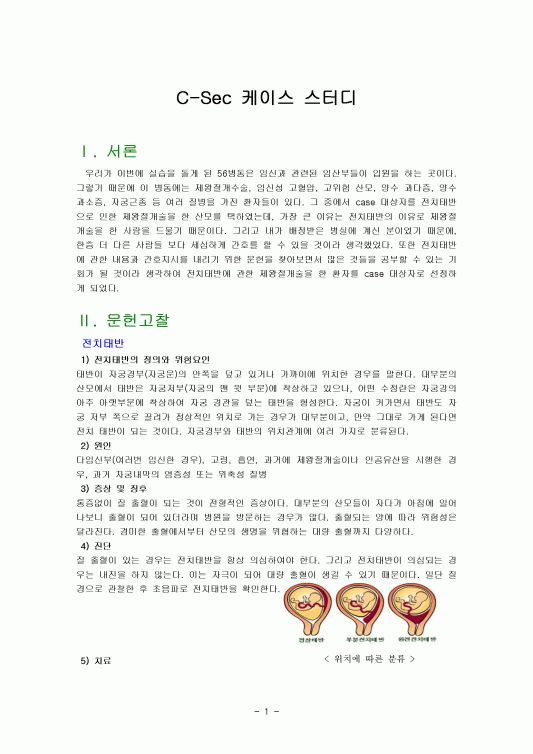 CSec 케이스 스터디(Csec 케이스 c-sec 케이스 간호과정 제왕절개 케이스 csec 케이스)