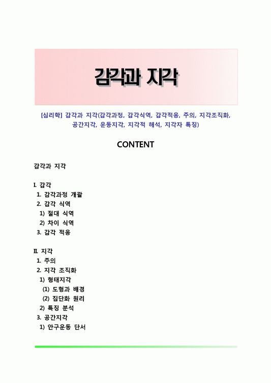 [심리학] 감각과 지각(감각과정  감각식역  감각적응  주의  지각조직화  공간지각
