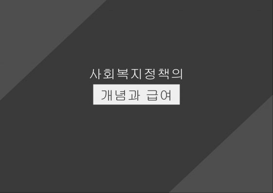 사회복지정책의 개념과 급여