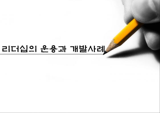 리더십의 운용과 개발사례