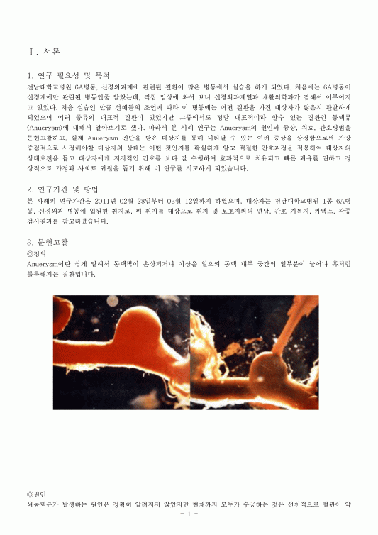 동맥류Anuerysm CASE