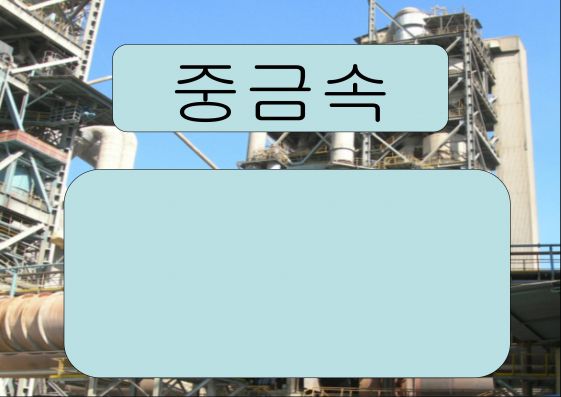 중금속 - 중금속 종류 체내에 축적되는 경로 피해현상