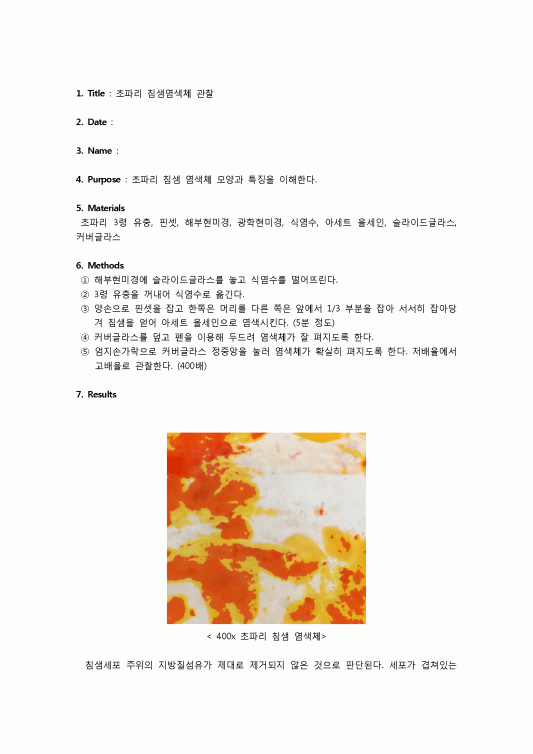 [일반생물학 실험] 초파리 침샘 염색체 관찰