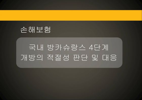 방카슈랑스란방카슈랑스의 개념방카슈랑스의 배경방카슈랑스 현황방카슈랑스의 유형