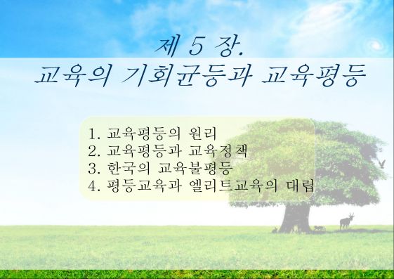 교육의기회균등과교육평등