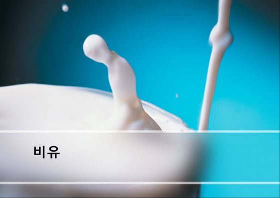 비유은유치환은유병치은유근본비유