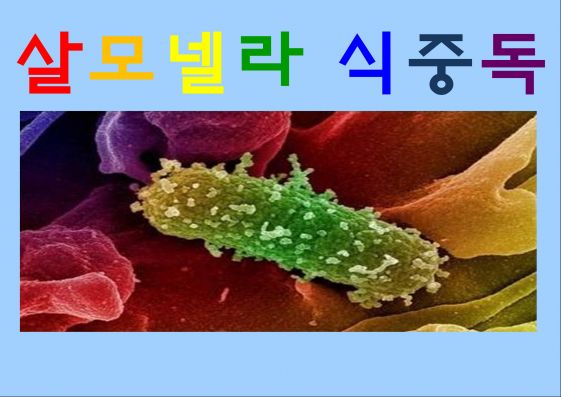 살모넬라 식중독식중독의 정의식중독이란식중독의 종류식중독 원인