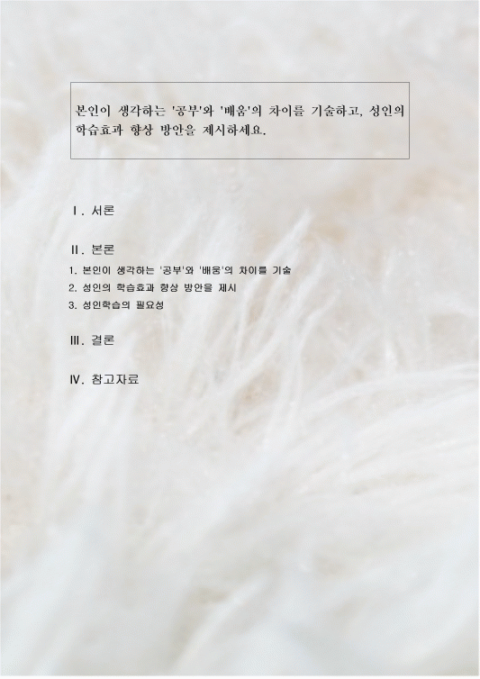 본인이 생각하는 공부와 배움의 차이를 기술하고 성인의 학습효과 향상 방안을 제시하세요