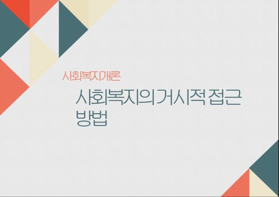 사회복지 거시적접근