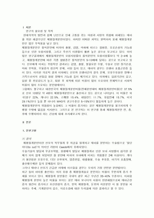 제왕절개 문헌고찰 및 사례연구(간호진단 2가지)