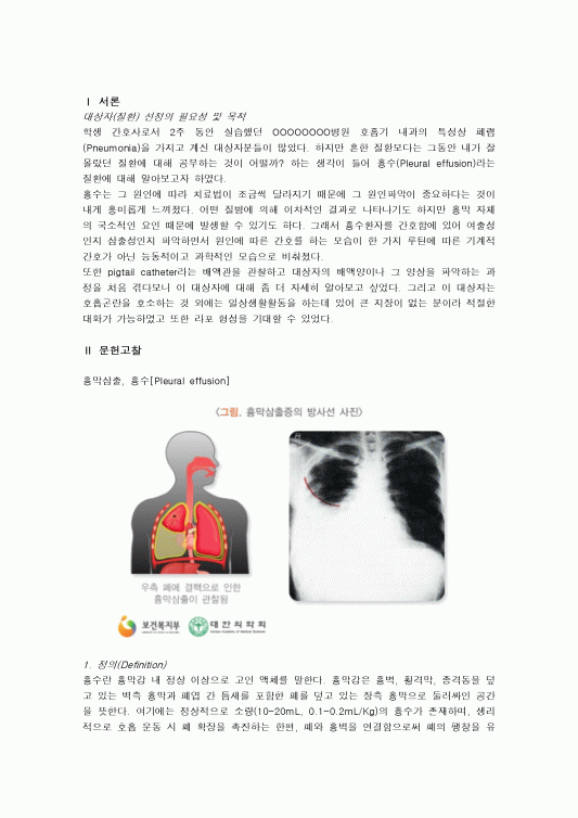 흉수 문헌고찰 및 간호과정