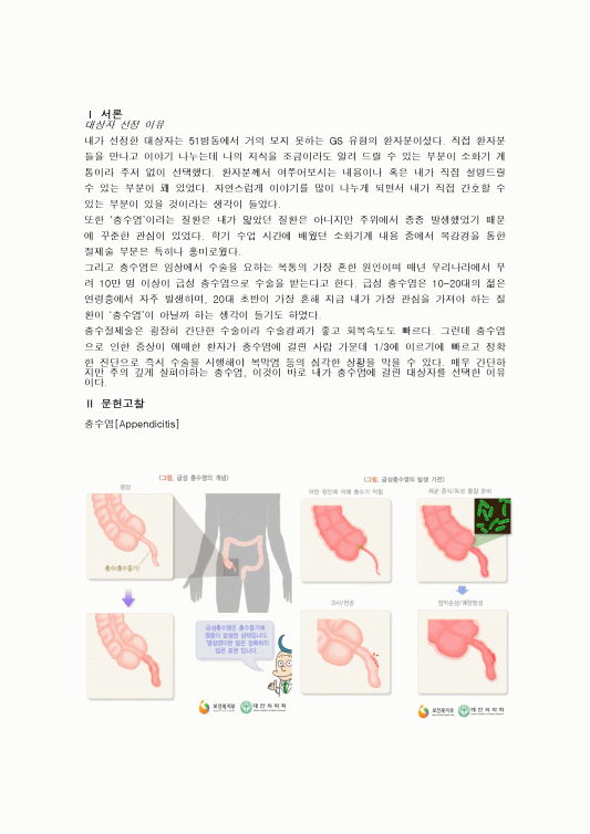 충수돌기염 문헌고찰 및 간호과정